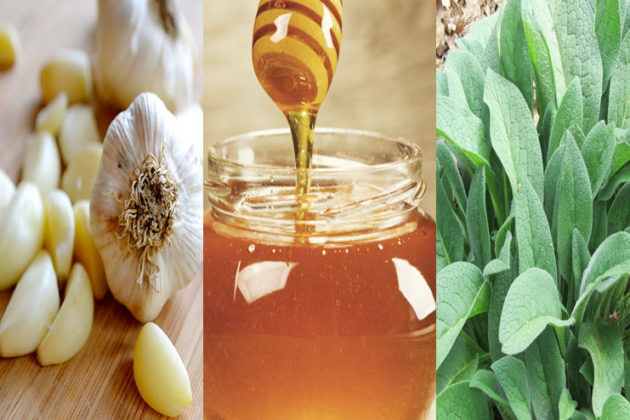 Uses Of Garlic For Acne Scars