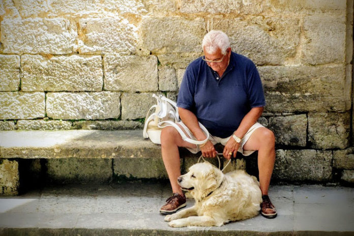 8 Reasons Why Everyone Should Have a Pet At Home