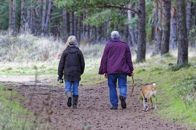 8 Reasons Why Everyone Should Have a Pet At Home