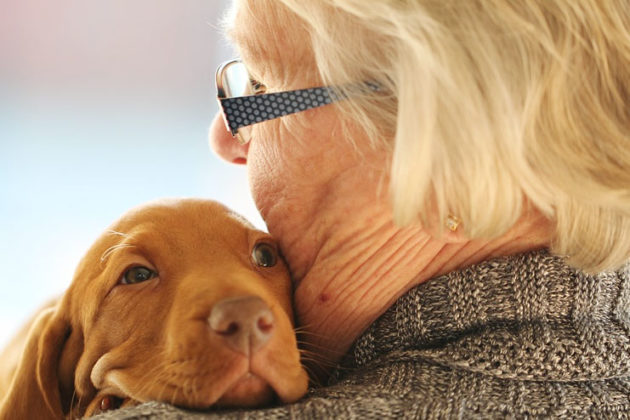 8 Reasons Why Everyone Should Have a Pet At Home